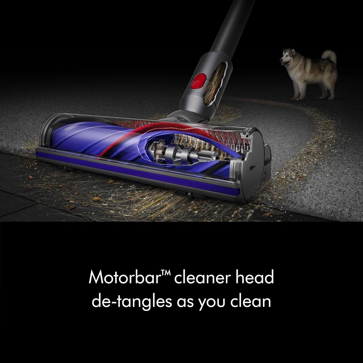 Dyson V8 Plus Cordless Vacuum: Now on Amazon at $349.99